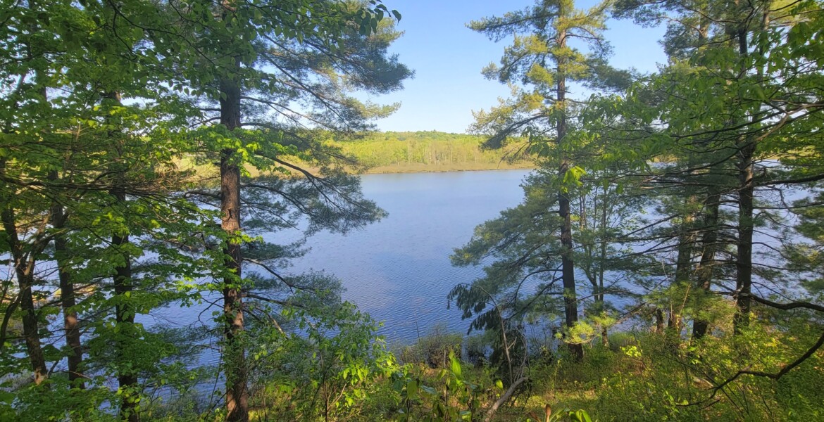 11 acre Secluded Forest Land with Lake Views DeKalb NY - NY Outdoor Realty