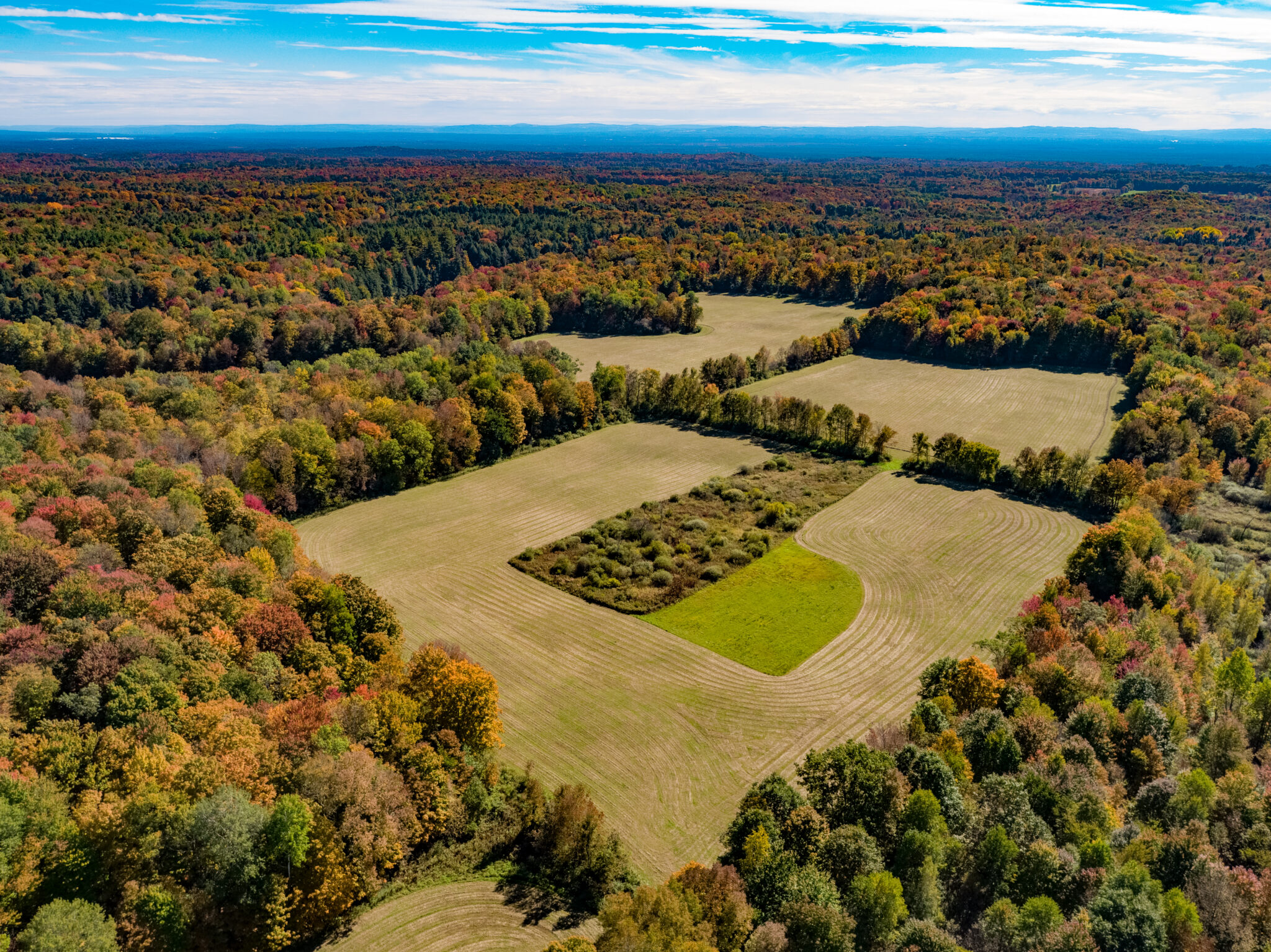 New York Real Estate Brokerage & Land Brokers NY State