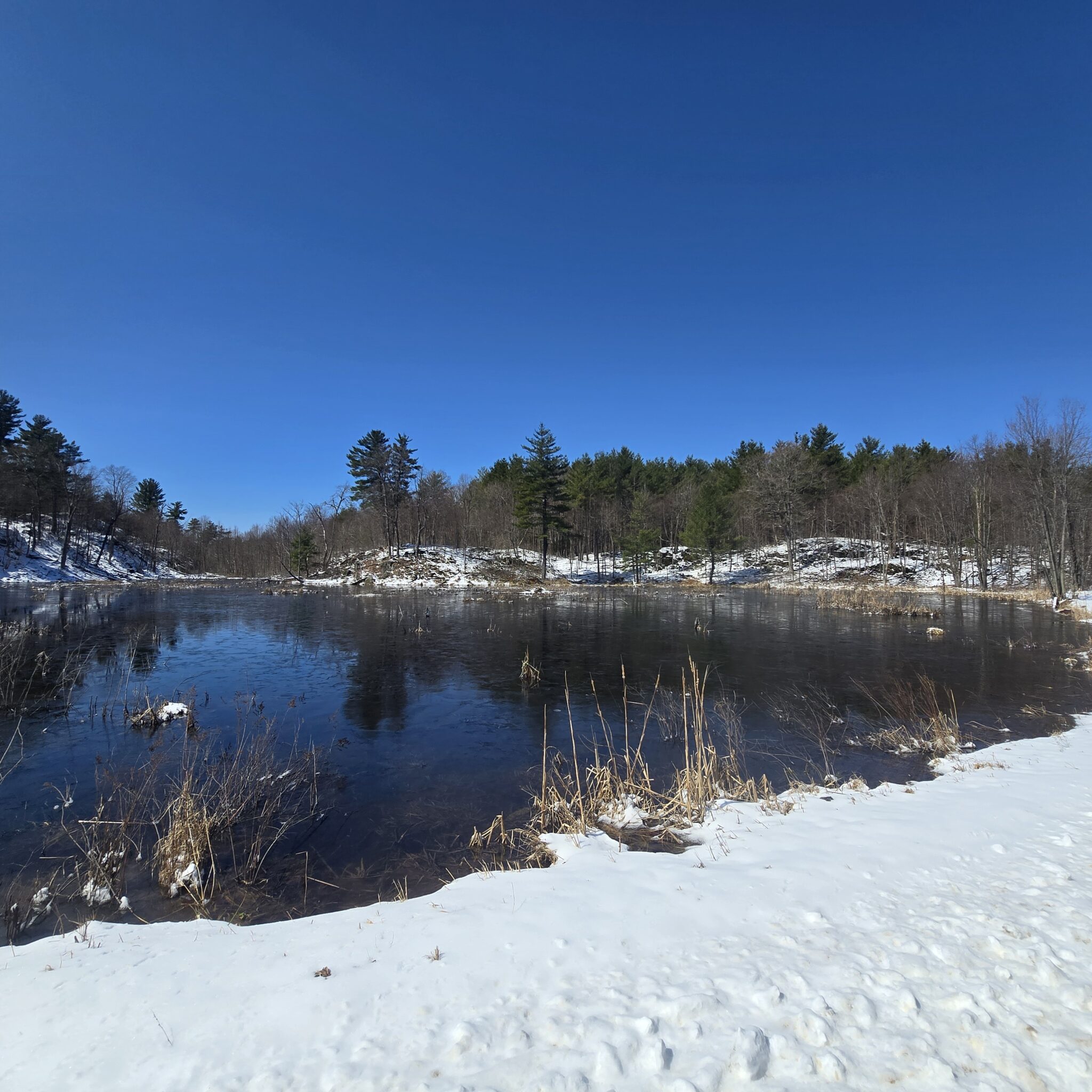 New York Real Estate Brokerage & Land Brokers NY State